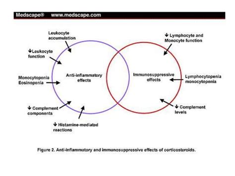 Glucocorticoids In Rheumatological Diseases Ppt