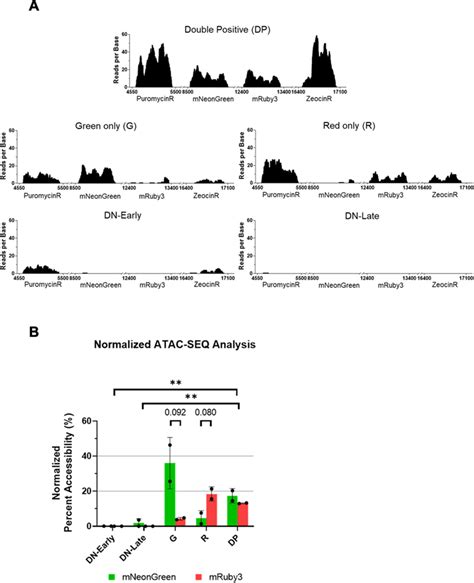 ATAC Seq Analysis Of Genomic DNA Derived From Sorted And Enriched Download Scientific Diagram