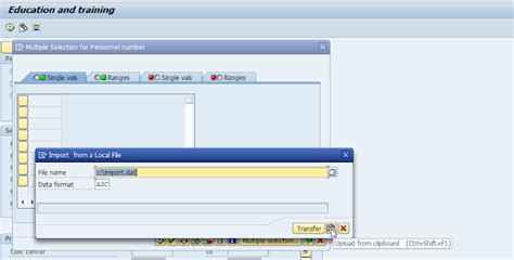Never Stop Learning Tools To Copy From Clipboard In SAP 4 6