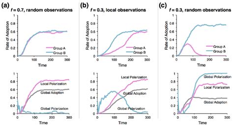 The Dynamics Of Local And Global Polarization Visualization Of Example