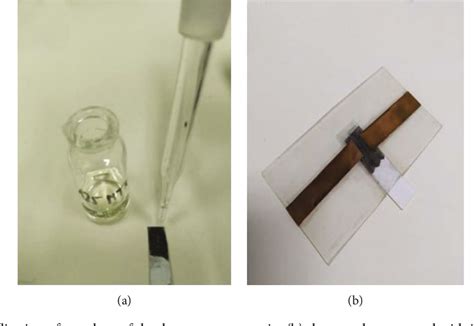Figure 3 From A Functionalized Paper Strip Based Platform For Rapid