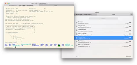 Professional Apps Codinn