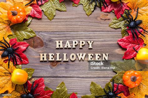 할로윈 행복 축하합니다 나무 배경에 단풍 나무 잎 거미 호박과 사과의 원에 문구 문자 0명에 대한 스톡 사진 및 기타 이미지 0명 가을 거미 Istock