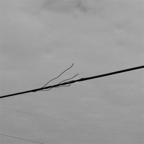 Custom Workflow Instance Segmentation Instance Segmentation Dataset By