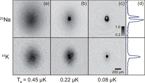 Figure 1 From Dual Species Bose Einstein Condensates Of {23} Na And {41} K With Tunable