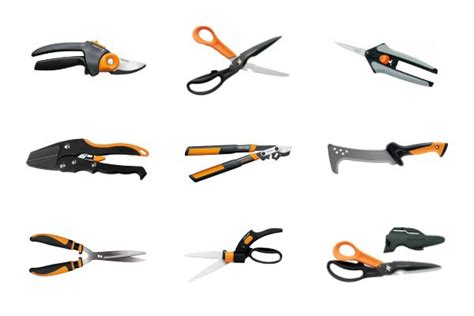 How To Choose The Right Pruning Tool For Your Garden Empress Of Dirt