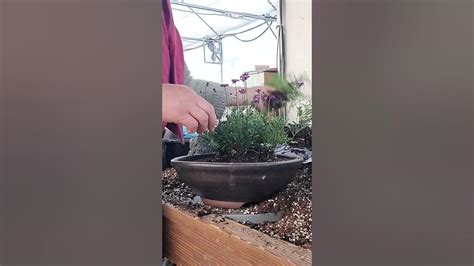 사계소국 모둠심기 Youtube