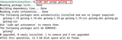 How To Install Golang On Debian 12 Its Linux FOSS