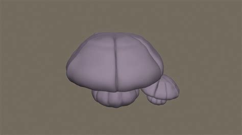 Mushrooom Download Free 3d Model By Fr3duck [b4fc095] Sketchfab