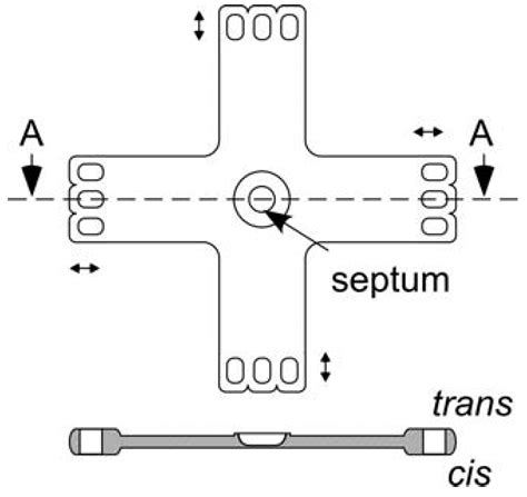 schematic plan of a cruciform shaped elastomer membrane showing the