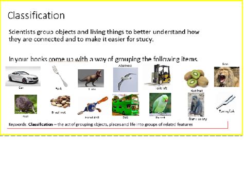 Classification Systems Gcse Biology Teaching Resources