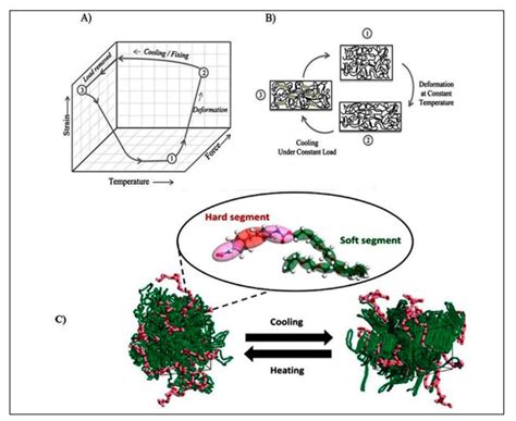 A Shape Memory Cycle For SMPs I Starting At High Temperature Download Scientific Diagram