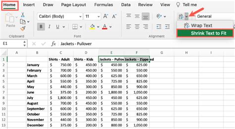 How To Shrink Text To Fit A Cell In Microsoft Excel