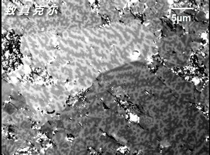 让磁学测试可视化多功能高分辨率磁光克尔显微成像系统 知乎