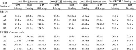Effect Of Row Spaces And Intercropping On Dry Matter Accumulation Of Download Scientific
