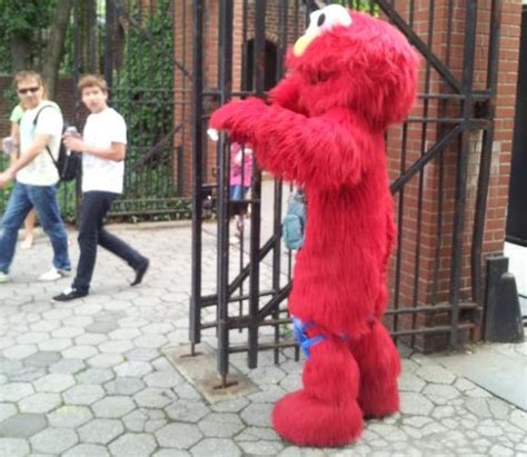 Central Park Elmo Goes On Anti Semitic Tirade Video