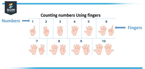 Counting Number Definition And Meaning