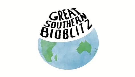 Bioblitz Holbrook Landcare Network