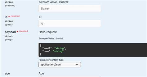 菜鳥工程師 肉豬 golang swag param annotation格式