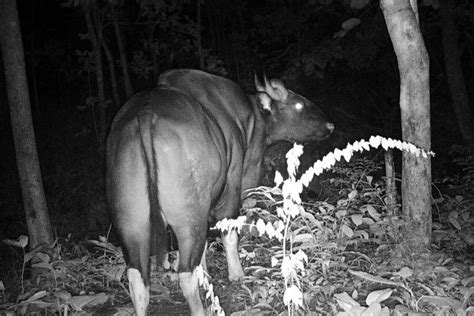 មន្ត្រីរដ្ឋបាលព្រៃឈើស្រុកថាឡាបរិវ៉ាត់ ខេត្តស្ទឹងត្រែង