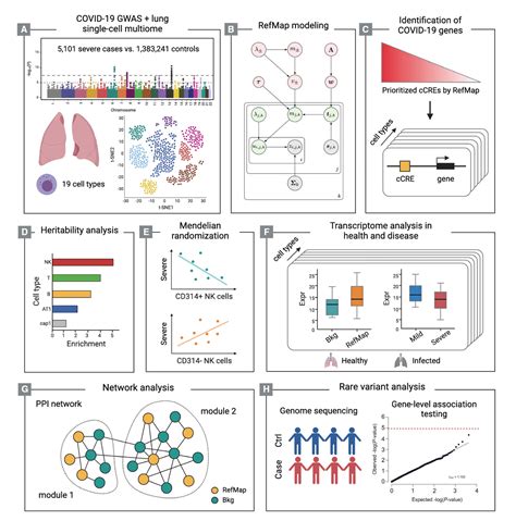 Multiomic Analysis Reveals Cell Type Specific Molecular Determinants Of