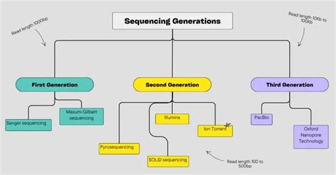 Understanding The Different Generations Of Dna Sequencing