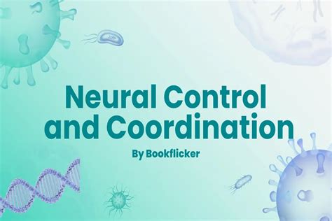 Neural Control And Coordination Bookflicker Notes