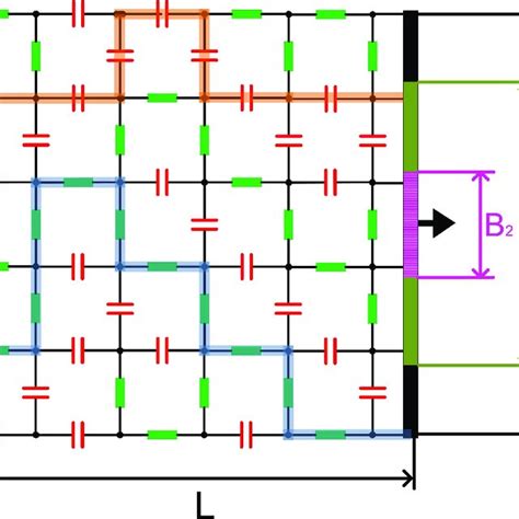 A Lattice Network Containing W L 5 5 Randomly Distributed