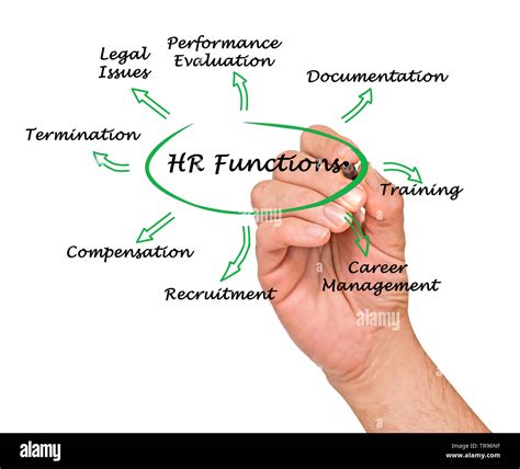 Diagram Of HR Functions Stock Photo Alamy