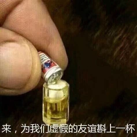 来 为我们虚假的友谊斟上一杯 高清图片堆糖美图壁纸兴趣社区