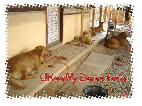 Junmino อัพเดตสองซัมก่อนอายุจะครบ 6 เดือนค่ะ