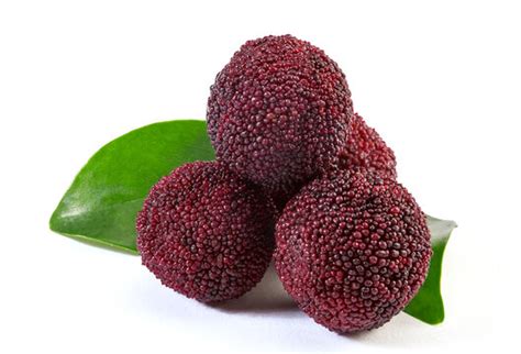 杨梅图片素材 杨梅设计素材 杨梅摄影作品 杨梅源文件下载 杨梅图片素材下载 杨梅背景素材 杨梅模板下载 搜索中心