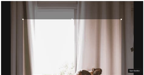 Vue Advanced Cropper Resize Image Codesandbox