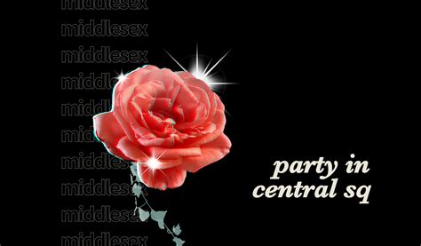 Party Middlesex Cambridge