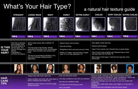 Curl Pattern Chart Gertypi