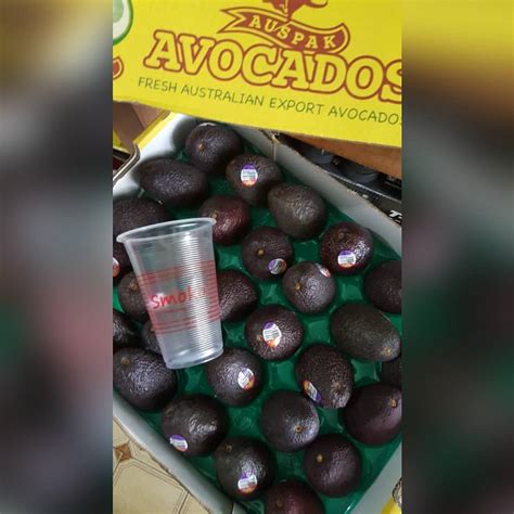 Smoko The Long Wait Is Finally Over 🤗 You May Place