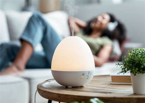 Air Diffuser Vs Air Purifier Which Is Better