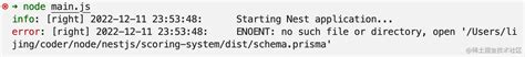 Nest系列八一路坎坷我实现了最简便的方式打包部署nestjs prisma应用开启掘金成长之旅这是我参与掘金 掘金
