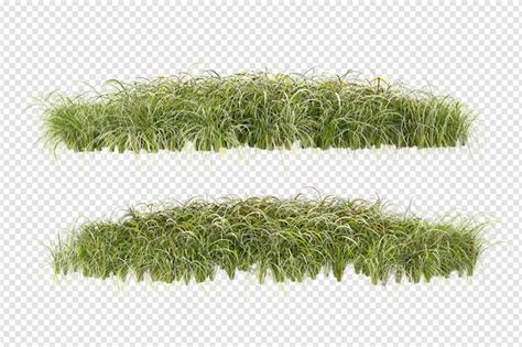 Premium Psd Grass In 3d Rendering Isolated