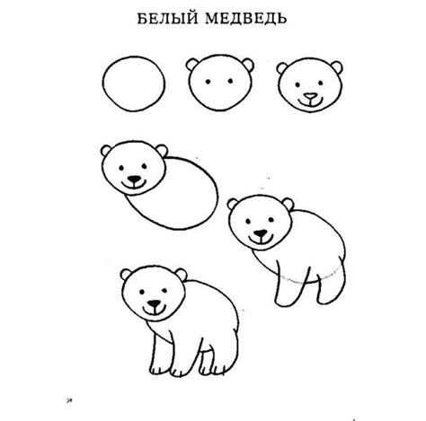 Как Нарисовать Медведя 59 Фото