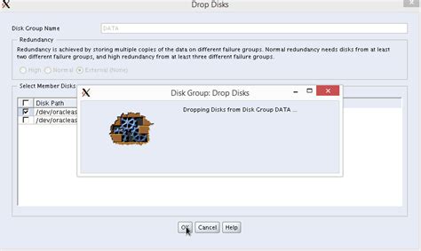 ASM Automatic Storage Management Oracle Brasil