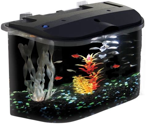 Best Aquarium Starter Kit Aquarium Starter Kits