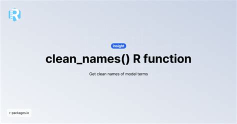 Cleannames R Function From Insight R Packages