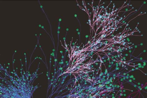 Subsurface Digitalization What Has Worked And What Hasnt Geoexpro