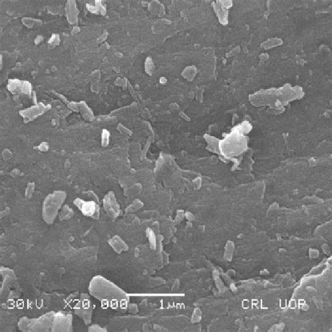 Decomposition Of Hydrogen Peroxide On MnO As A Function Of Time At Download Scientific Diagram