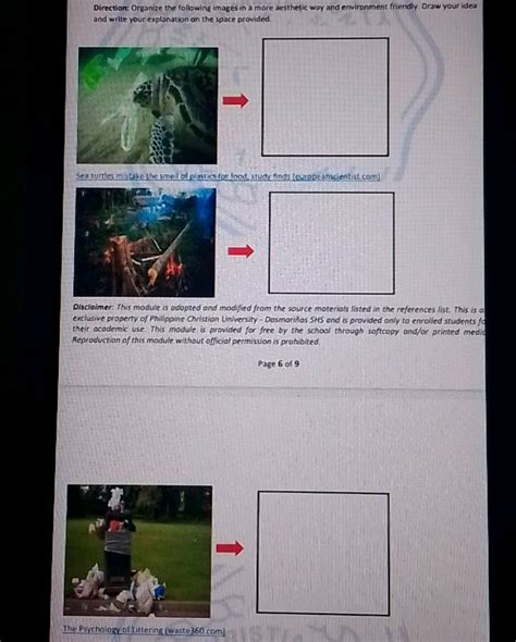 Direction Organize The Following Images In A StudyX