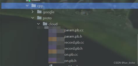 Google Protobuf 实践使用开发 google protobuf protoc CSDN博客