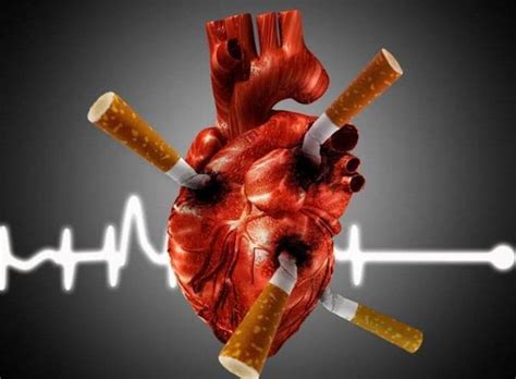 禁烟知识宣传拒绝烟草 引领健康 后勤处