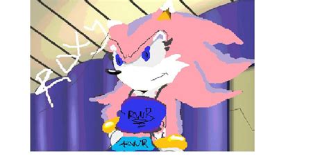 Roxy The Hedgehog Sonic Shadow And Silver Photo 9388092 Fanpop
