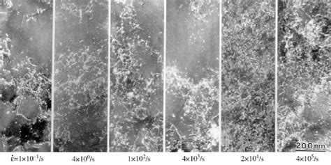 Variation Of Dislocation Structure In Cu With Deformation Speed E ¼ Download Scientific